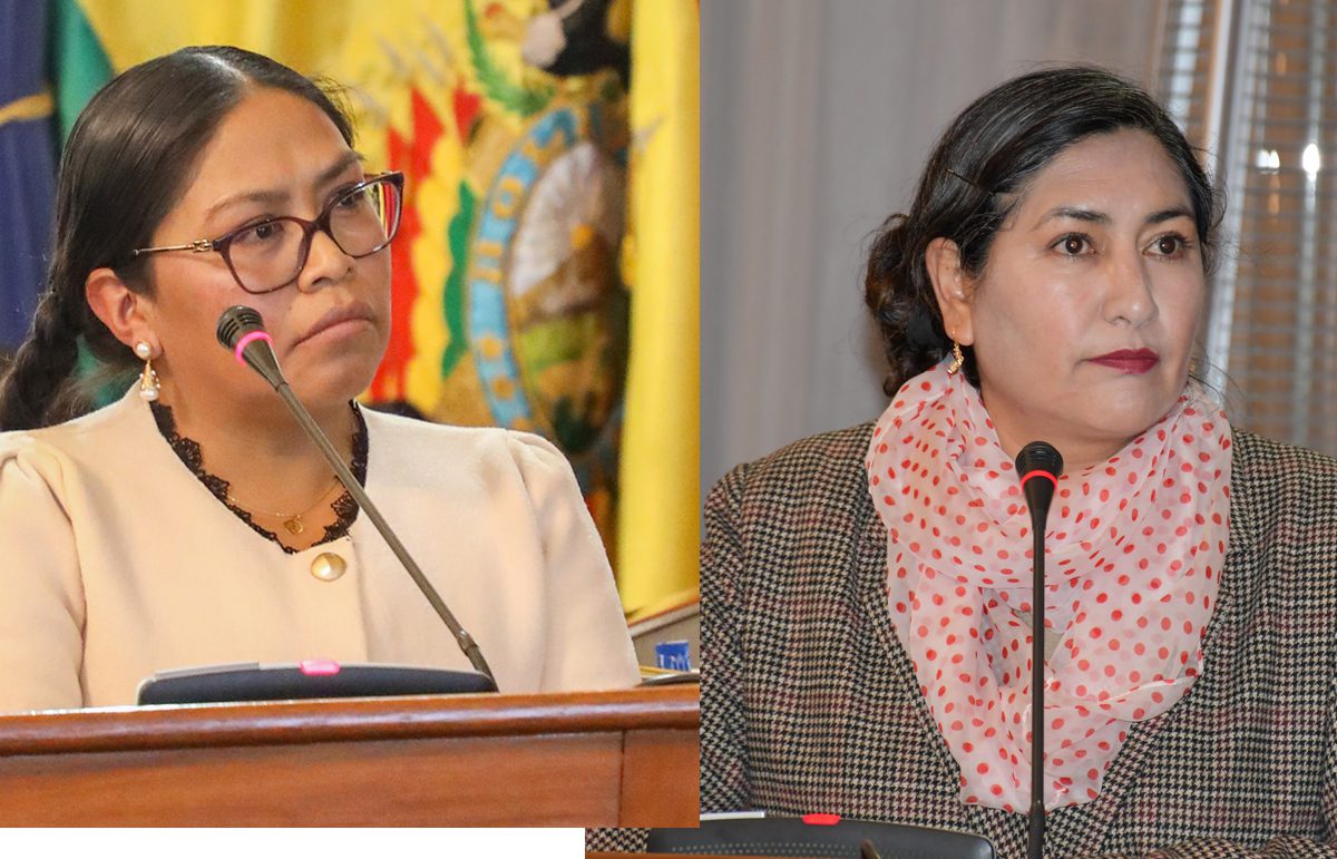 Potosí elige a 2 mujeres para magistradas del Tribunal Constitucional y ...